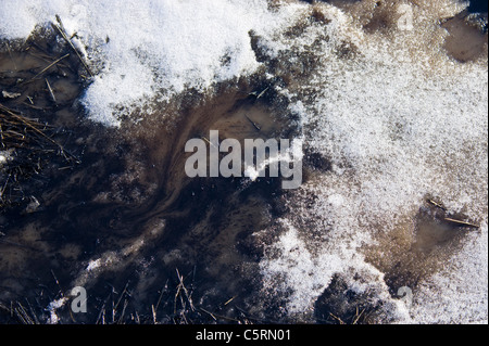 Puddle of oil on the ground Stock Photo - Alamy