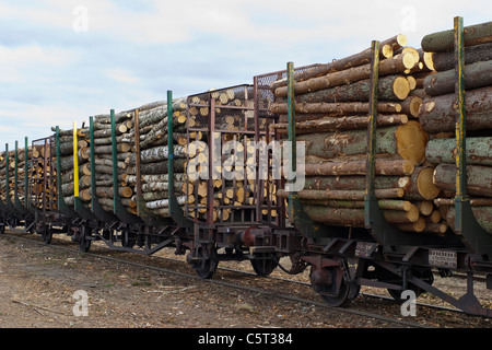 Train cars loaded with timber Stock Photo - Alamy