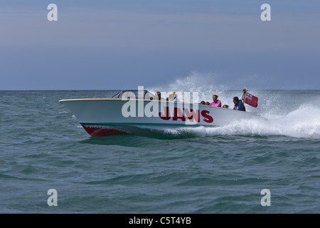Ride on the Waves, Padstow Speedboat Stock Photo - Alamy