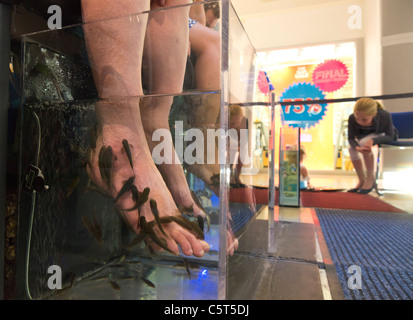 Fish pedicure in Ocean Terminal, Edinburgh, Scotland shopping mall ...