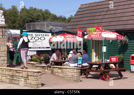 Five Sisters Zoo, Polbeth, near Livingston, Scotland - prairie dog ...