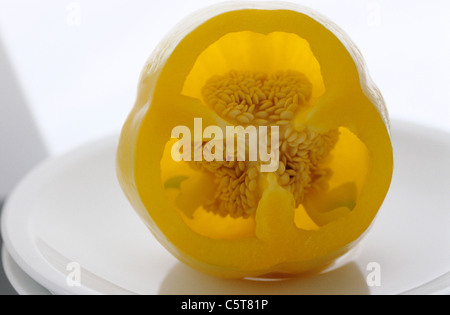 A selective focus shot of a vibrant yellow Common Dandelion growing ...