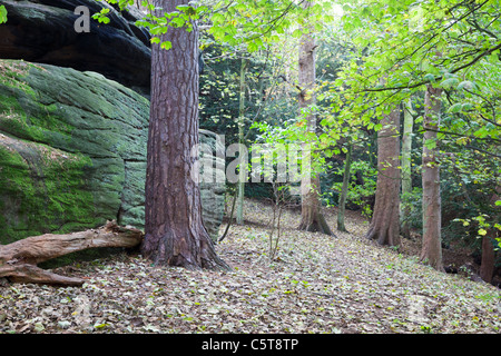 Plumpton Rocks North Yorkshire England Stock Photo - Alamy