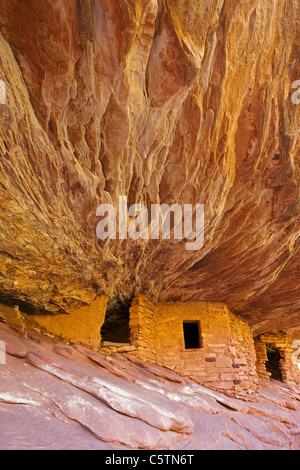 Indian ruins in North Fork of Mule Canyon Cedar Mesa area Utah United ...