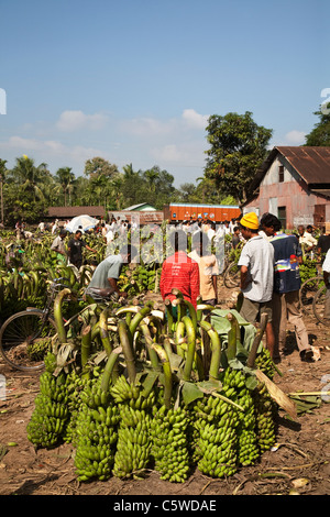 Green banana bunches in local bazaar in India Stock Photo - Alamy
