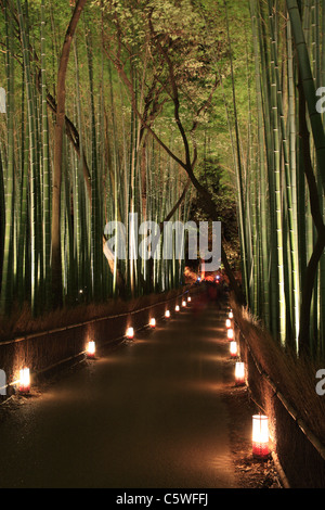 Night view of illuminated bamboo forest behind Tenryuji Temple in ...