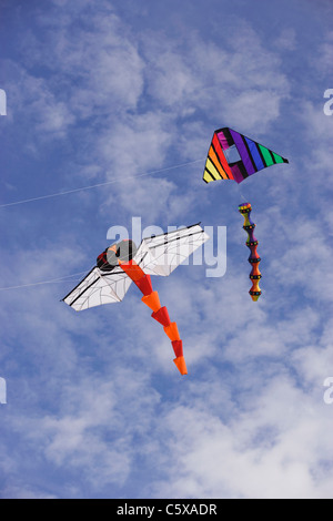 Two kites flying in the sky, one performing an upside-down maneuver ...