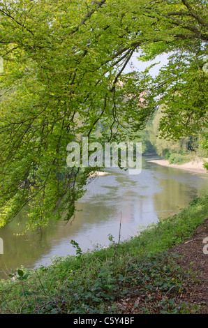 River Severn meander rural Shropshire UK aerial view Stock Photo - Alamy