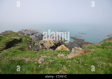 Rocky coast in a mist, Cardigan Bay, Wales, UK Stock Photo - Alamy