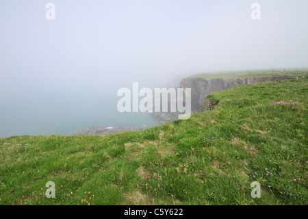 Rocky coast in a mist, Cardigan Bay, Wales, UK Stock Photo - Alamy