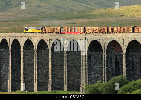 Freight train crossing the rail viaduct across the River Wansbeck near ...