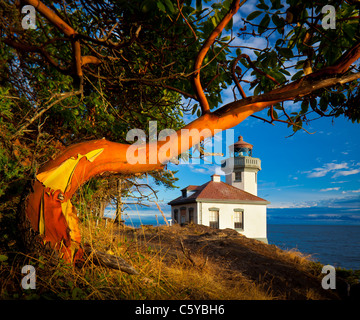 Lighthouse Madrona San Juan Island WA, ocean, straight of Juan de Luca ...