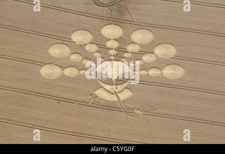 Crop circle of an alien face smoking a pipe Stock Photo - Alamy