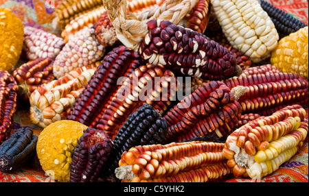 Different types of corn on a market in Peru Stock Photo - Alamy