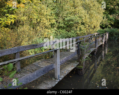 Floating wooden bridge over a pond with lily pads at vanDusen botanical ...