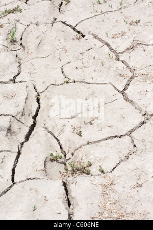 Barren and parched land, closeup of dry cracked earth texture, a ...