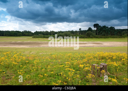 East Wretham Heath, Norfolk, UK Stock Photo - Alamy