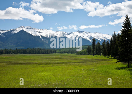 Swan Mountain Range, Rockies, MT Stock Photo - Alamy