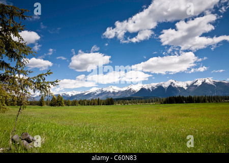Swan Mountain Range, Rockies, MT Stock Photo - Alamy