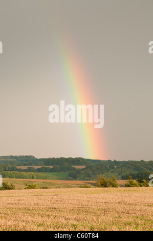 Rainbow over a wheat field in the Lauragais plain, Aude, France on May ...