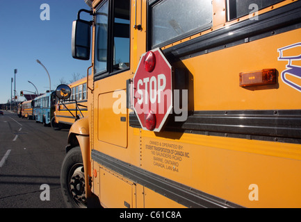 School bus, Toronto, Canada Stock Photo - Alamy