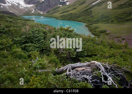 Cracker Lake at dusk, Glacier National Park, Montana, USA Stock Photo ...