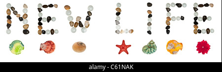 New life symbol. Concept words New life on beautiful brown brick wall ...