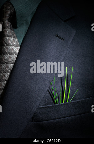 Businessman in the green ecology growth concept Stock Photo - Alamy