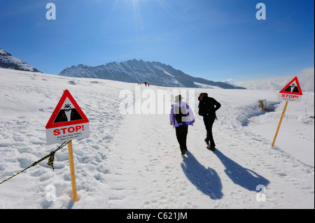 The path to the Monch Hut across the top of the Aletsch Glacier ...