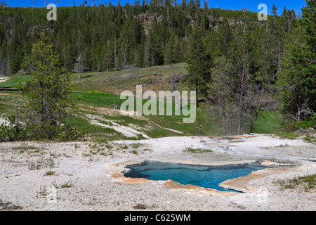 Yellowstone National Park, Blue Star Spring Geyser in the Upper Geyser ...