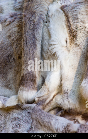 Native American and Inuit clothing in the Pitt Rivers Museum, Oxford ...