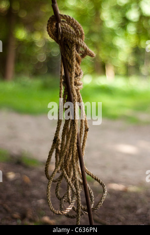 noose hanging in a tree Stock Photo: 62484489 - Alamy