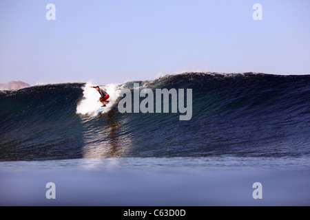 Surfing at Scar Reef. Maluk, Sumbawa, West Nusa Tenggara, Indonesia ...