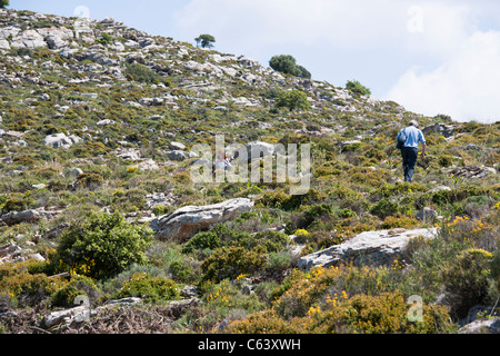 Phillip Cribb Botanist & Wife,Inspecting a Hillside,Wild Flowers of the ...