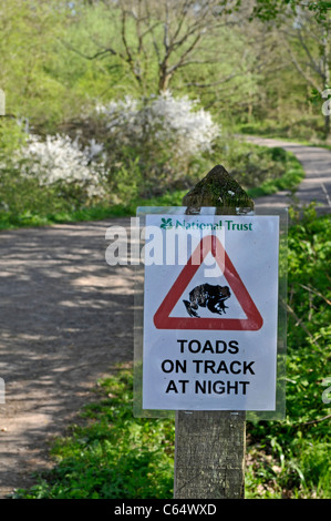 Toad crossing sign Stock Photo - Alamy