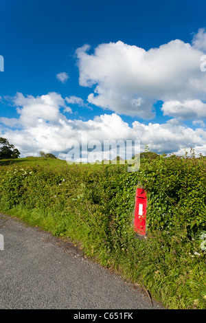 Post Box near Spark Bridge, Cumbria Stock Photo - Alamy