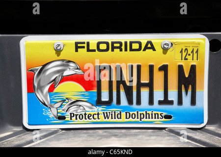 Florida license plate; vehicle registration number. Florida Sunshine ...