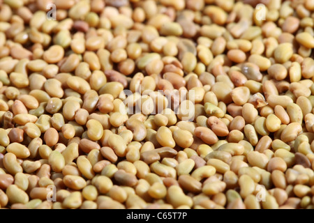 Colorful seeds mixture close-up background texture Stock Photo - Alamy