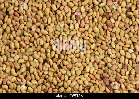Colorful seeds mixture close-up background texture Stock Photo - Alamy