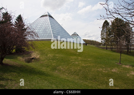 Mutart Conservatory Edmonton, Alberta, Canada Stock Photo - Alamy