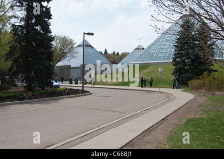 Mutart Conservatory Edmonton, Alberta, Canada Stock Photo - Alamy