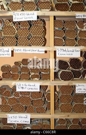 Assorted cigars ready for export at a cigar factory in Esteli ...