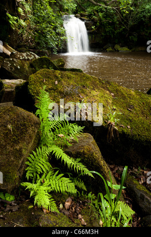 Thomason Foss Waterfall, Beck Hole, North Yorkshire Stock Photo - Alamy