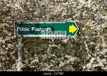 Public footpath sign with yellow arrow on a wooden post by the footpath ...