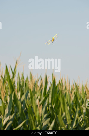 Crop duster over corn in the Midwest Stock Photo - Alamy