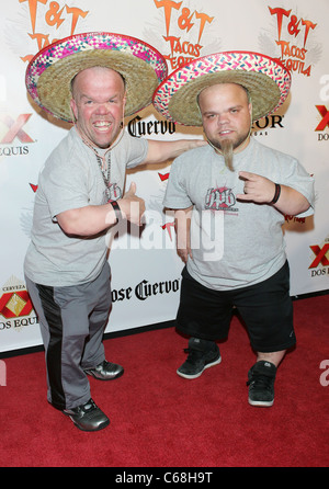 Half Pint Brawlers The Second Annual Chip And Salsa Cinco De Mayo ...