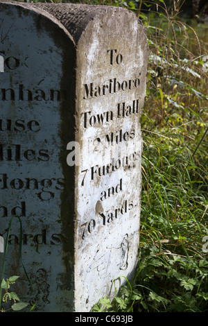 Stone Distance Marker Savernake Forest Wiltshire Stock Photo - Alamy
