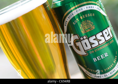 Beer Glass and Can, Gosser Beer Stock Photo - Alamy