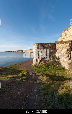 Eroded limestone cliffs on Blast Beach near Seaham in County Durham ...