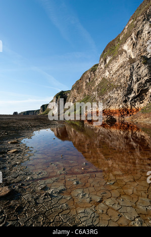 Eroded limestone cliffs on Blast Beach near Seaham in County Durham ...